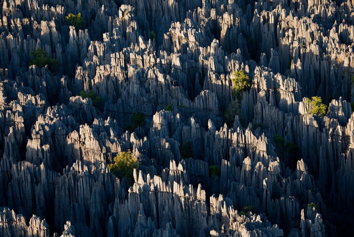 Tsingy: The Stone Forest of Madagascar | Amusing Planet